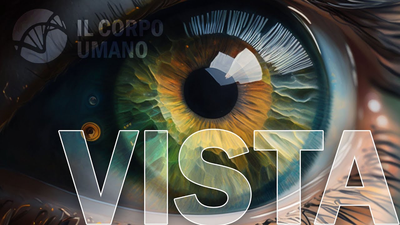 La Vista e l'occhio - Sensi e organi di senso | Il Corpo Umano - YouTube