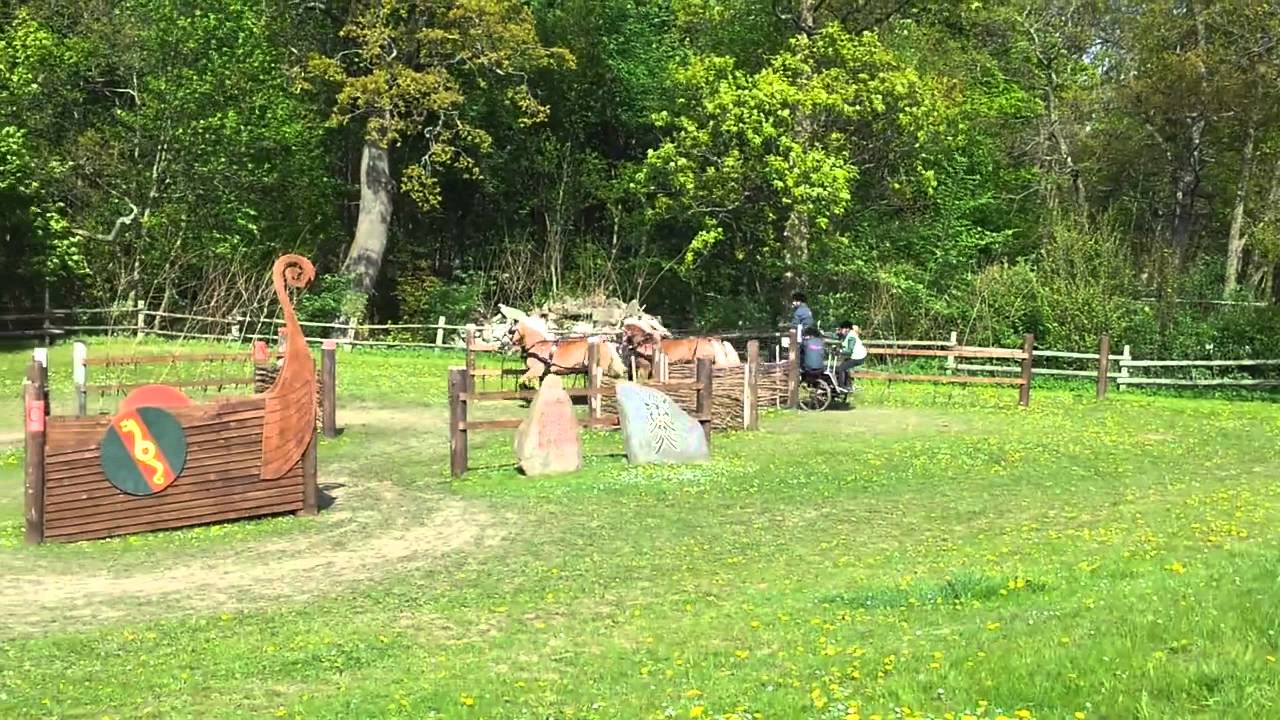 Lars Dau i maratonen, til Dansk Køre Selskabs internationale stævne ...