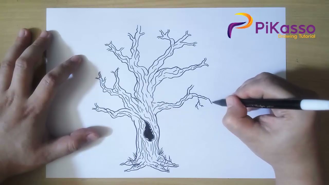 How to Draw a Oak Tree step by step easy - YouTube