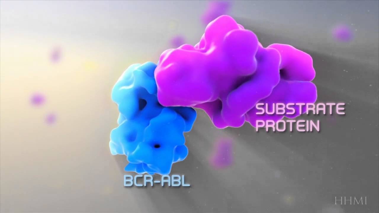 enzyme inhib flip vid1 - YouTube