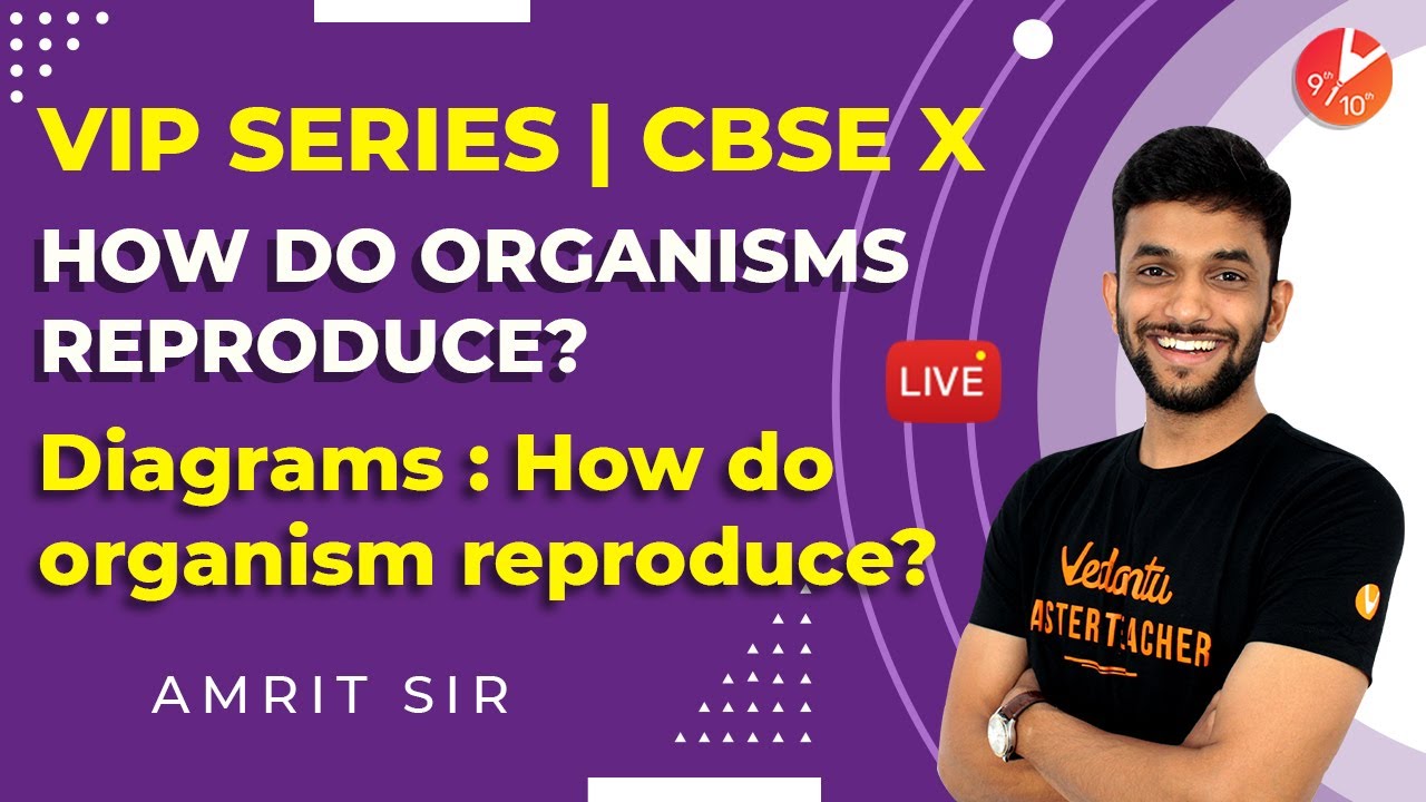 How do Organisms Reproduce? L1 | Diagrams | CBSE Class 10 Biology ...