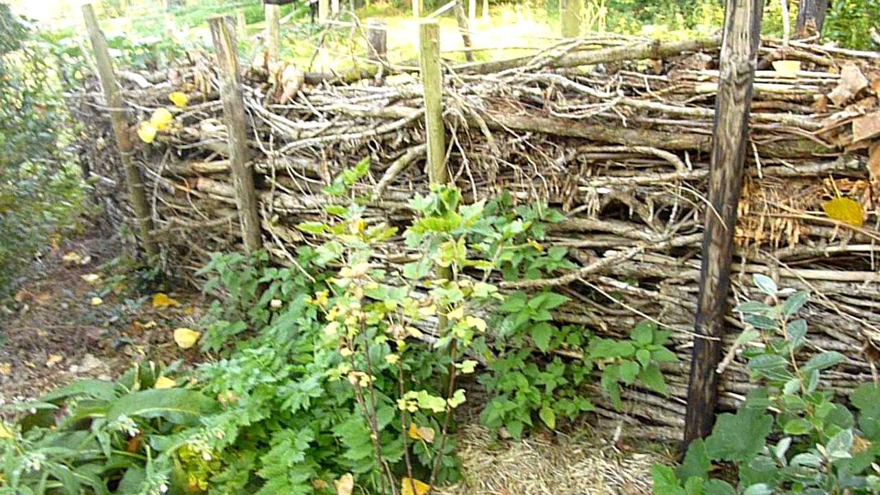 dry hedge - YouTube