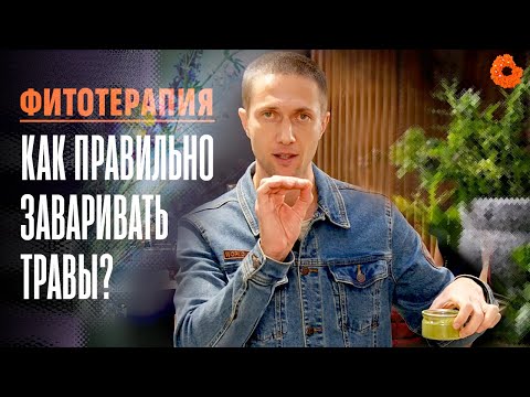 Фитотерапия: как правильно заваривать травы?