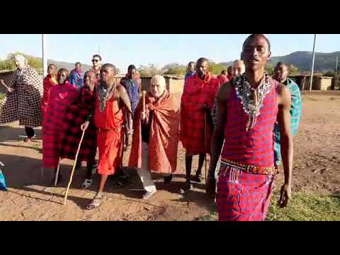 Kenya'da Safari Masai Mara Köyü Ziyareti Birlikte Dans Görüntüleri Eylül 2019
