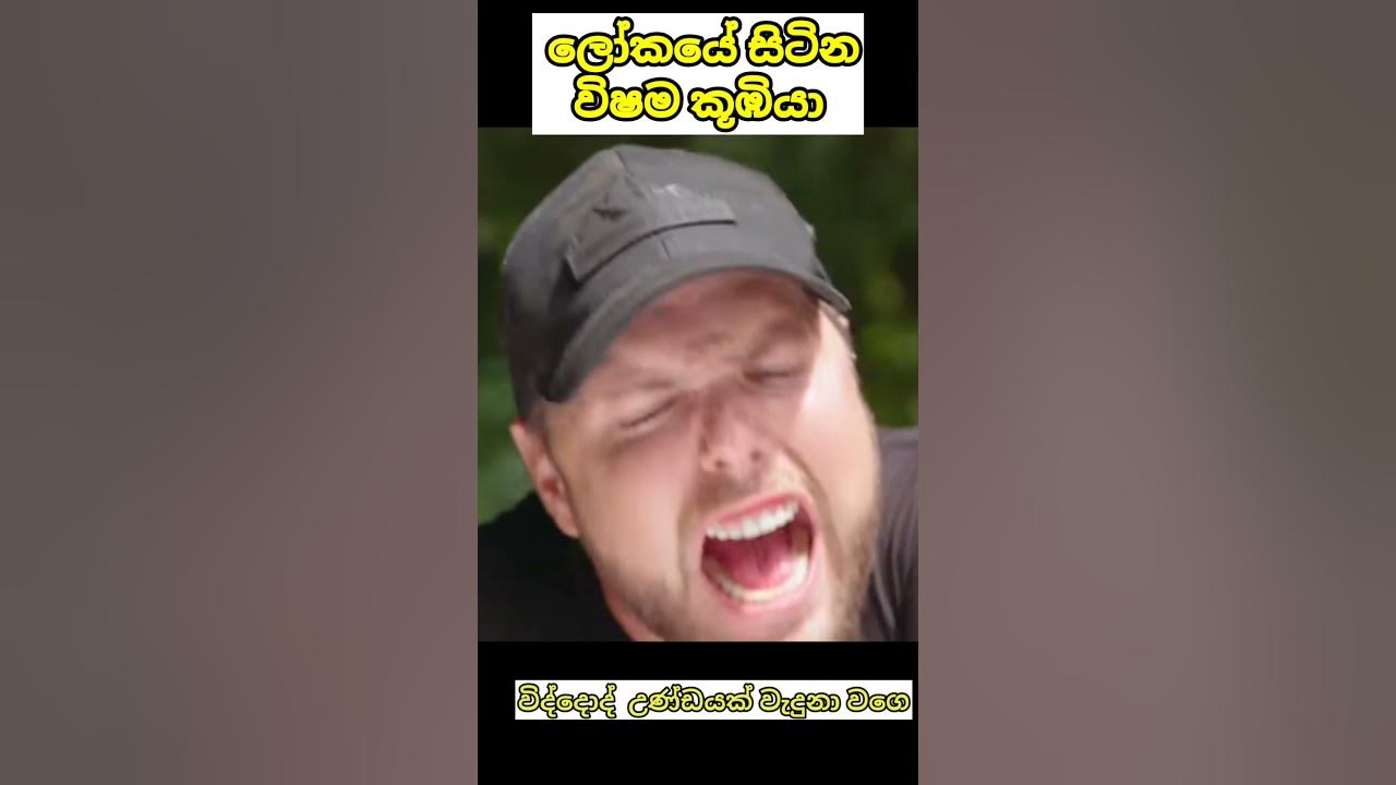 ලෝකයේ විෂම කුඹියා bullet ant #bulletant - YouTube