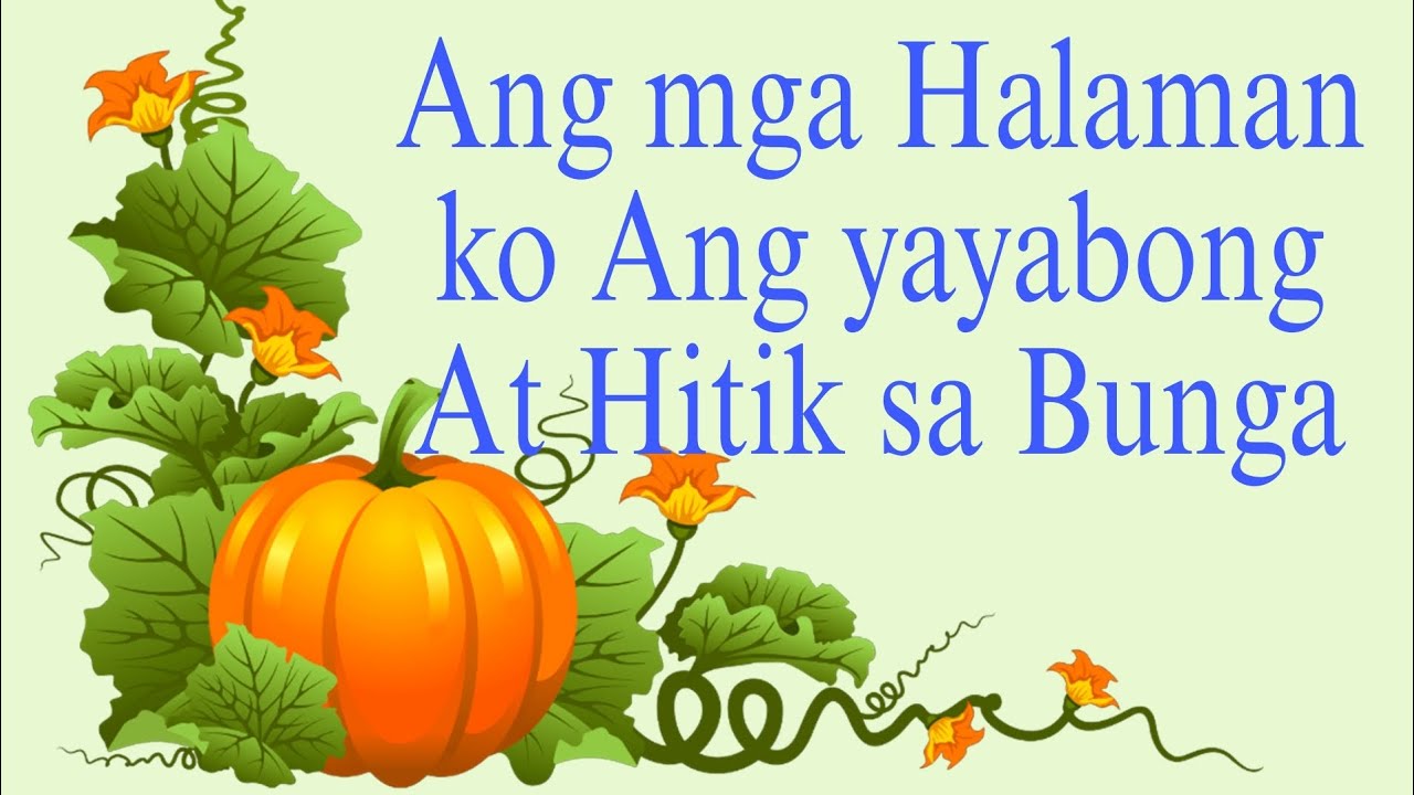 Ang mga Halaman ko Ang yayabong at Hitik sa Bunga - YouTube