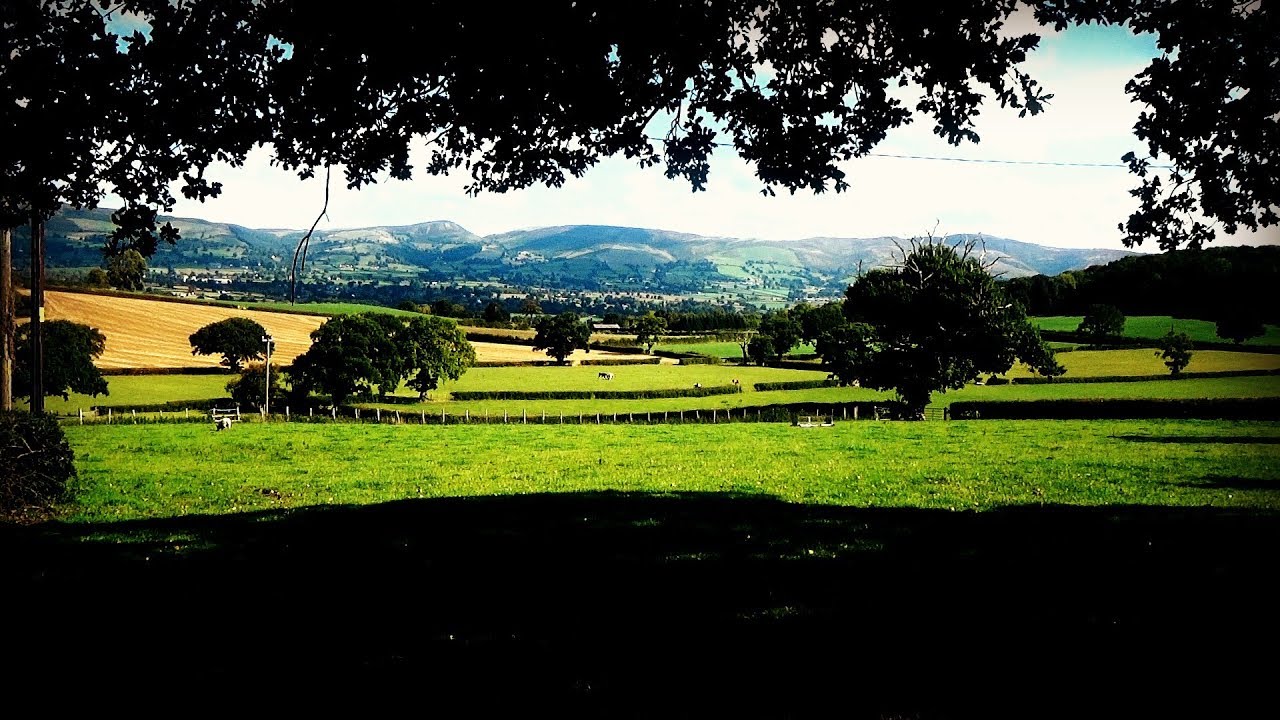A Country Lane Walk in Denbighshire North Wales - YouTube