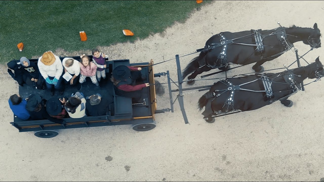 2019 Smith Farm Hoedown - YouTube