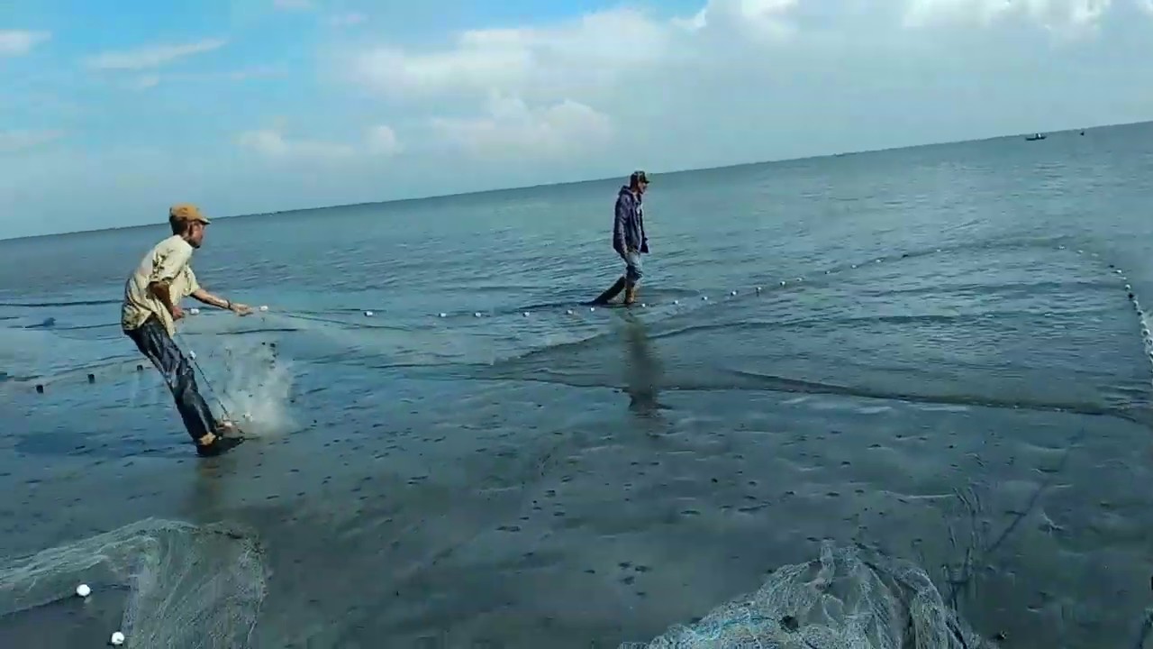 Menangkap Ikan Di Pantai Youtube