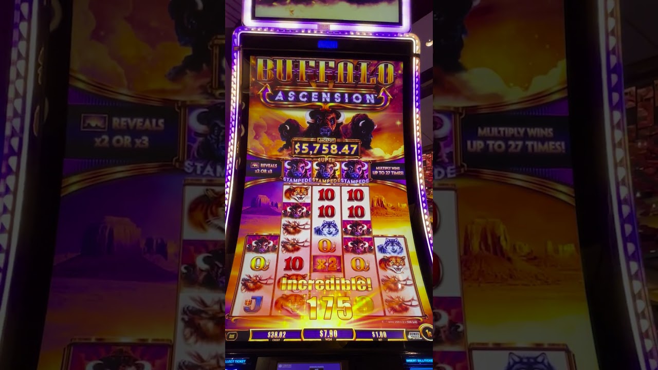 NON-STOP FREE GAMES! on Buffalo Ascension Casino Leon