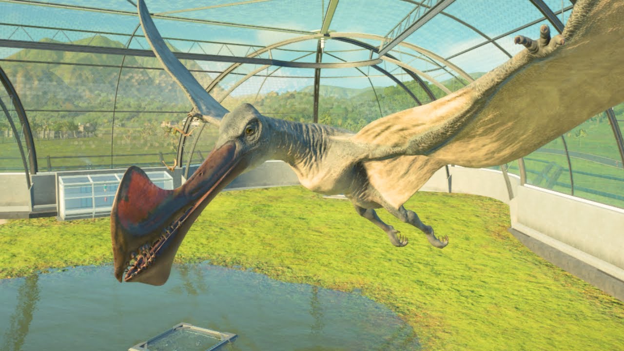 Aerial Dinosaurs Soar in a Massive Aviary - YouTube