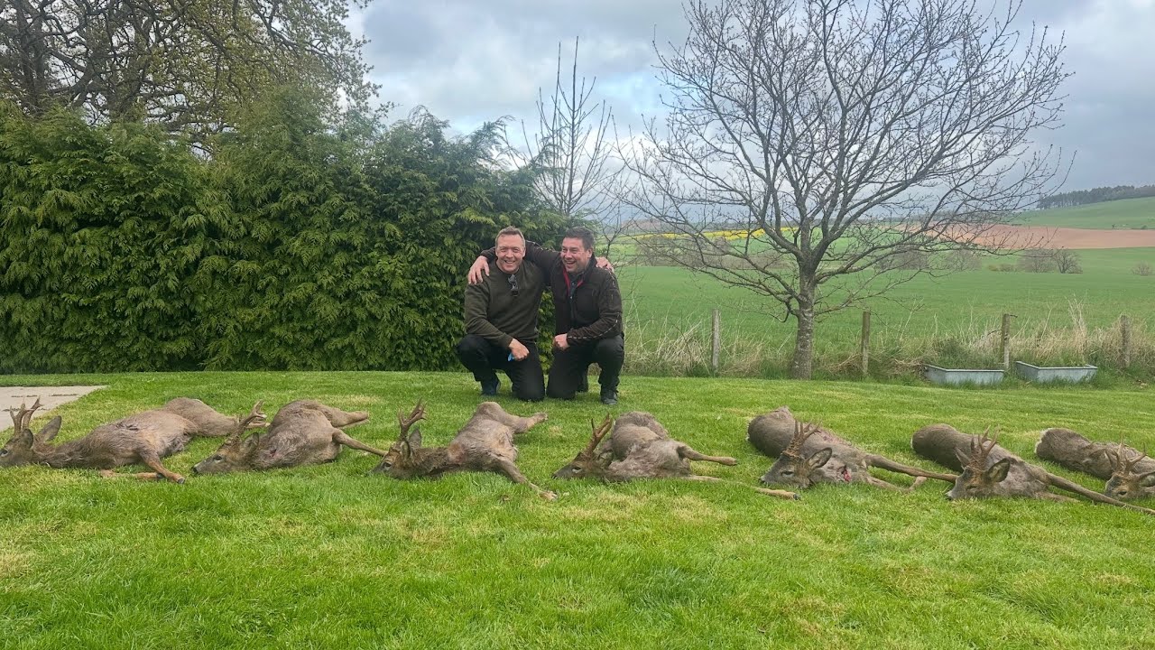 Roebuck hunting Scotland 🏴󠁧󠁢󠁳󠁣󠁴󠁿25 bukkejagt jagt Scotland 25🏴󠁧󠁢󠁳󠁣󠁴󠁿 ...