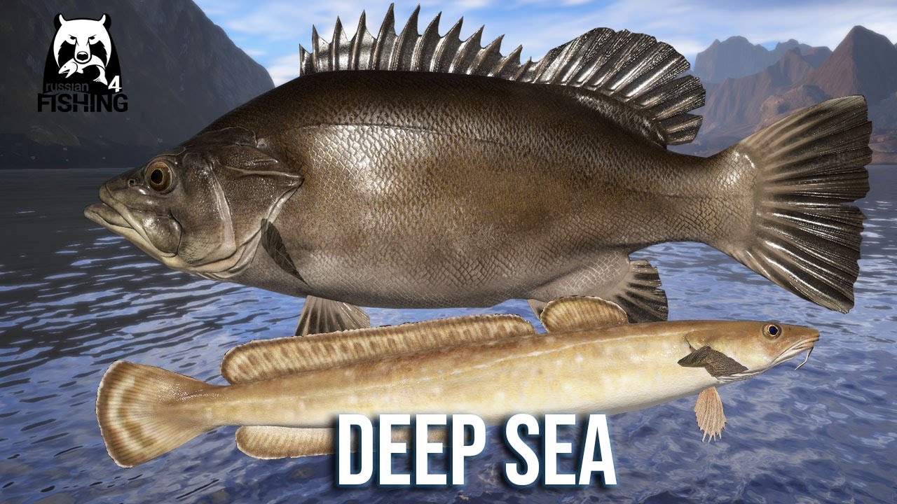 Wreckfish and Lings at Norwegian Sea - Russian Fishing 4 - YouTube