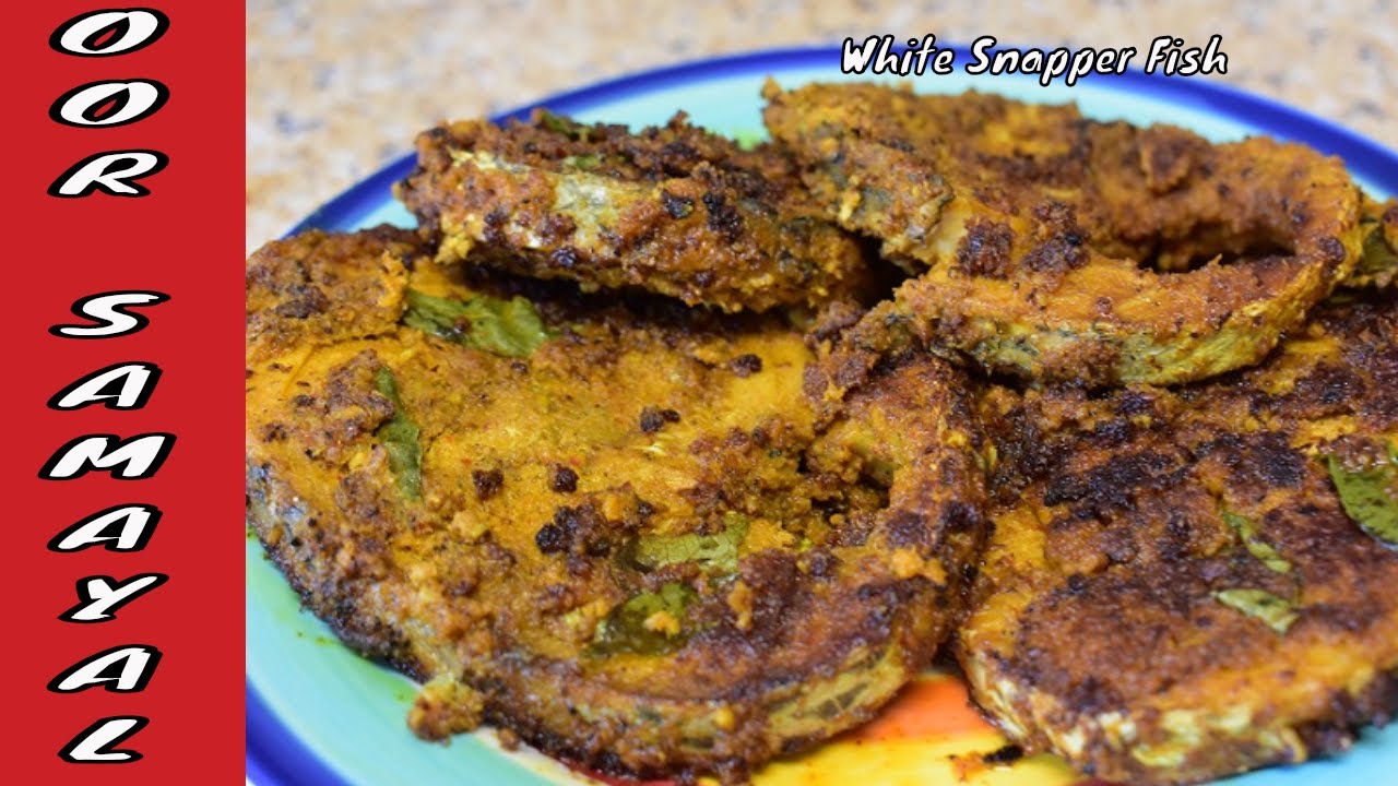 #13 Try to Fry White Snapper Fish with Indian Masala | How to Fry White ...