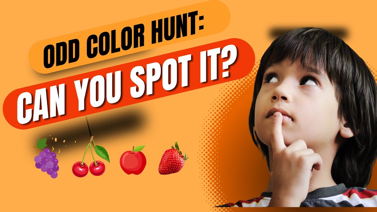 Learn Color Sorting Activity | Colorful Observation Activity for Kids ...