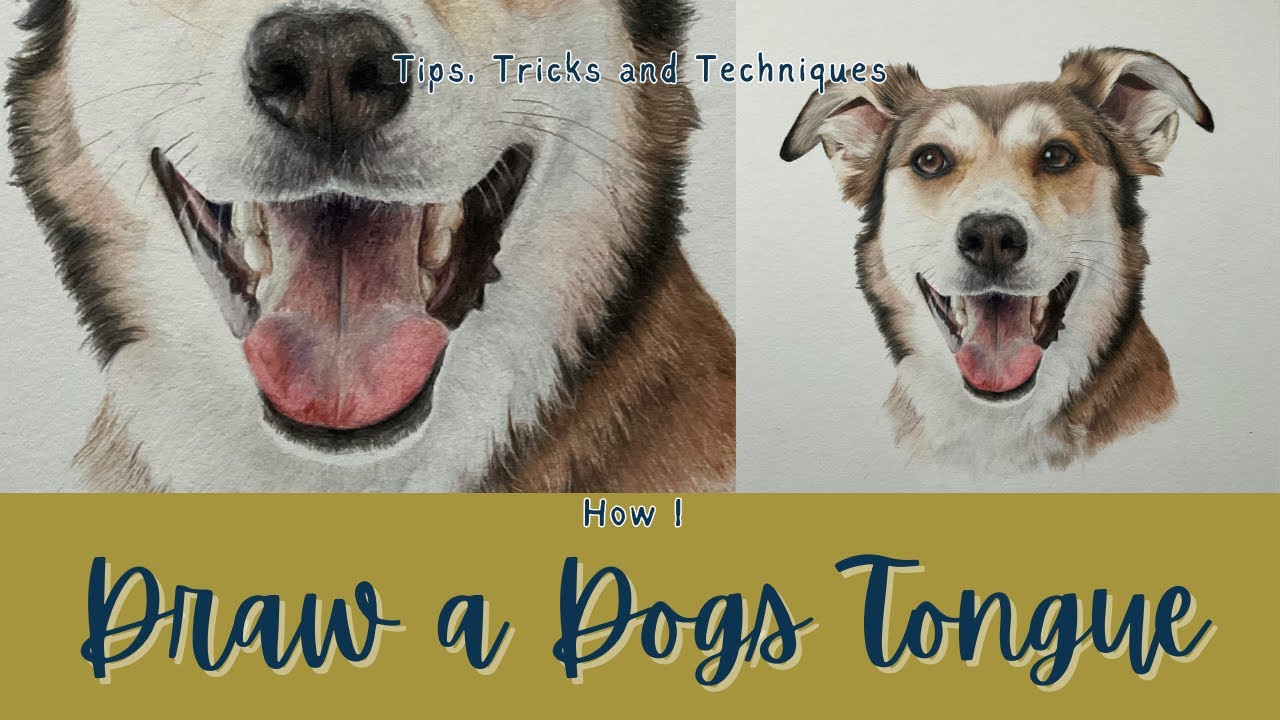 How to Draw a dogs tongue - YouTube