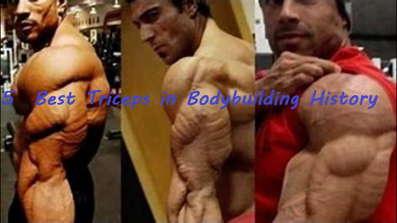 5 Best Triceps in Bodybuilding History ! Motivational Bodybuilding ...