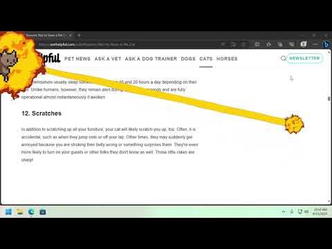 Desktop Pet Project, get your own desktop pet - YouTube
