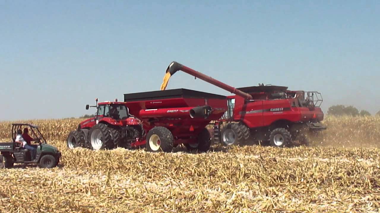 Case Ih 8120, Case Ih 290, Brent grain cart - YouTube