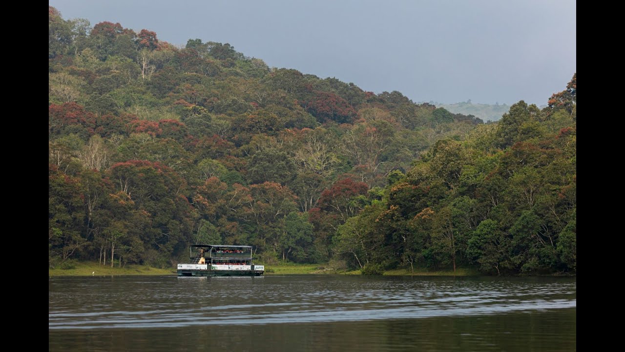 Boating in Thekkady | Periyar tiger reserve - YouTube
