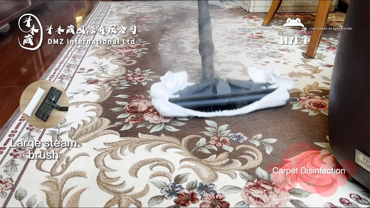 HYLA Steamer Teaching Video - YouTube