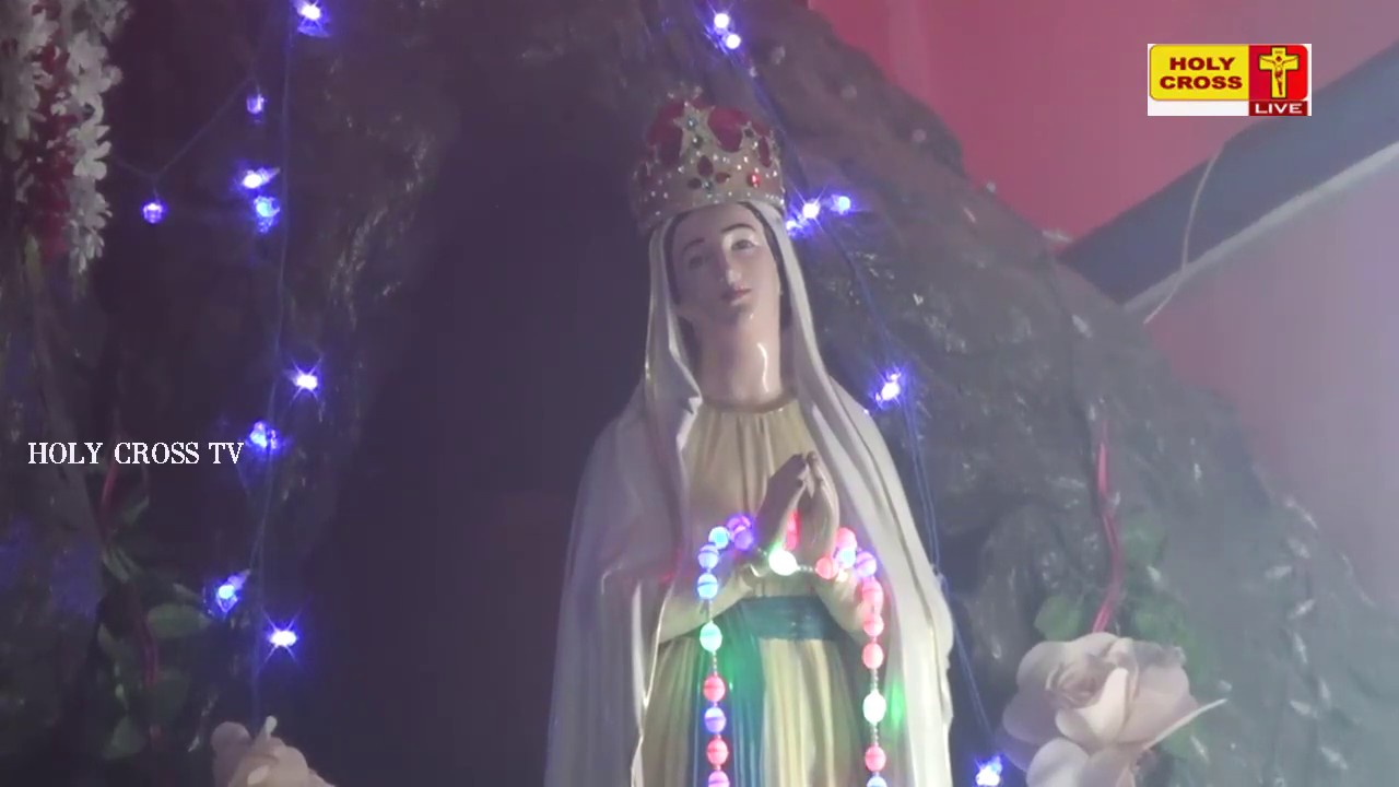 Holy Cross Tv Live Stream - YouTube