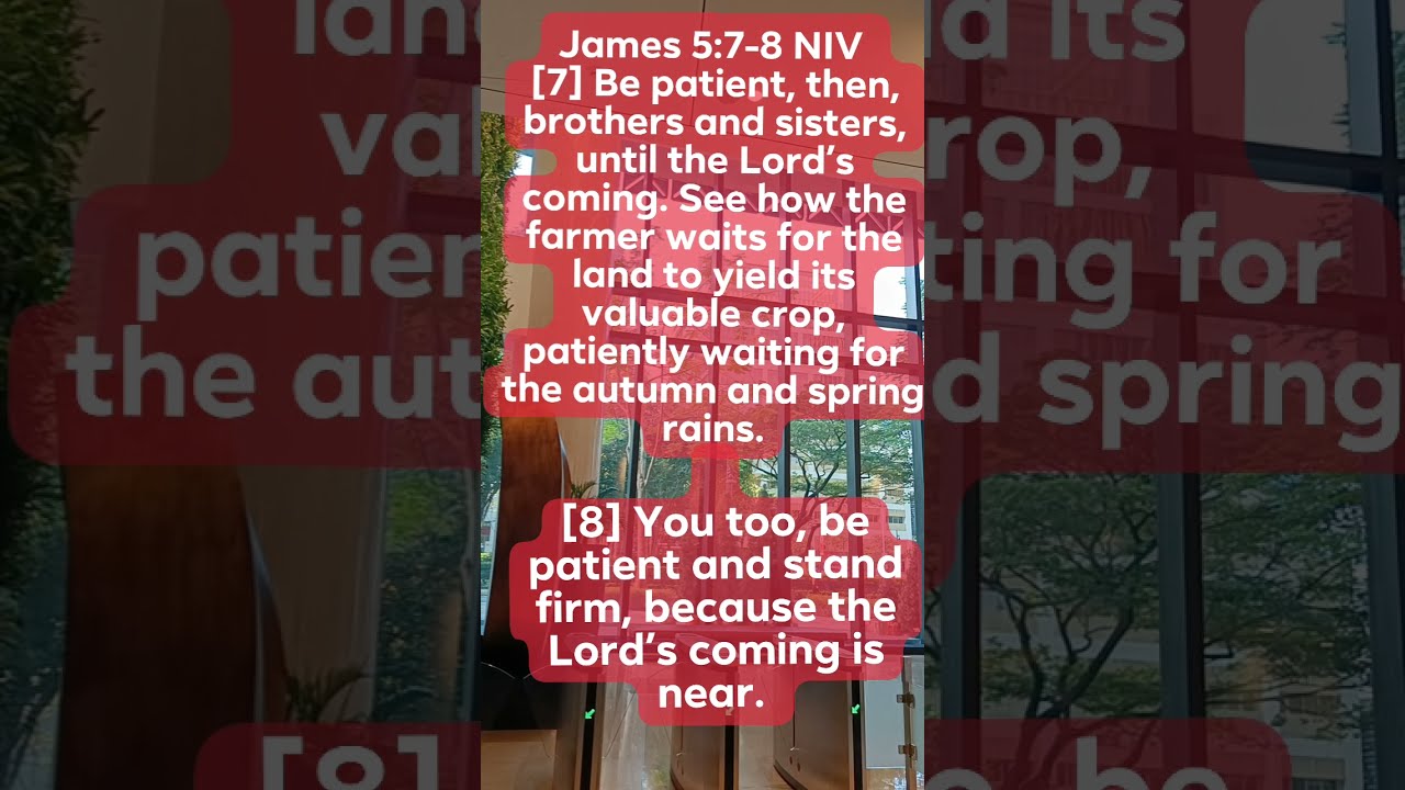 James 5 7 8 NIV daily bibleverse dailygrind James 5 7 8 NIV daily bibleverse dailygrind