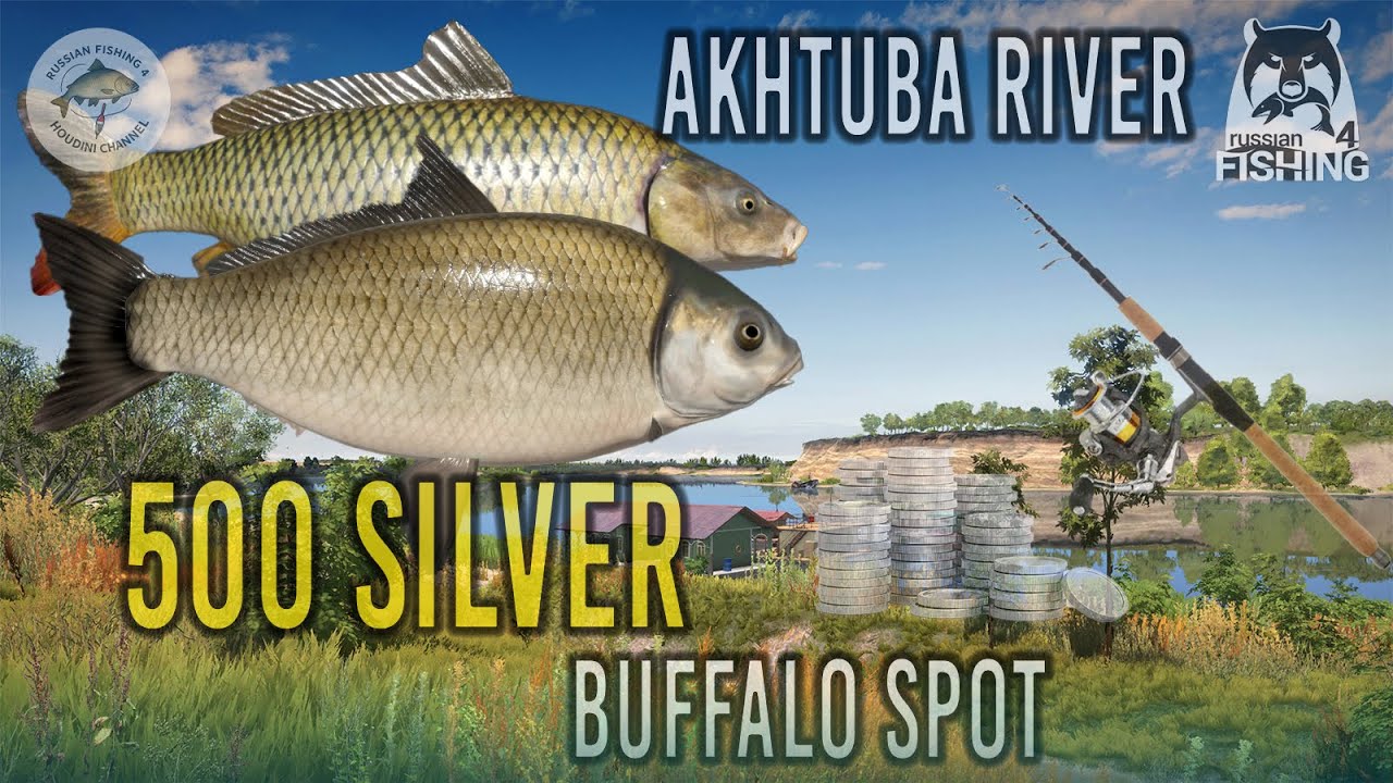 📌 BEST Buffalo Fishing Spot in RF4! Akhtuba River Guide – Setup, Bait ...
