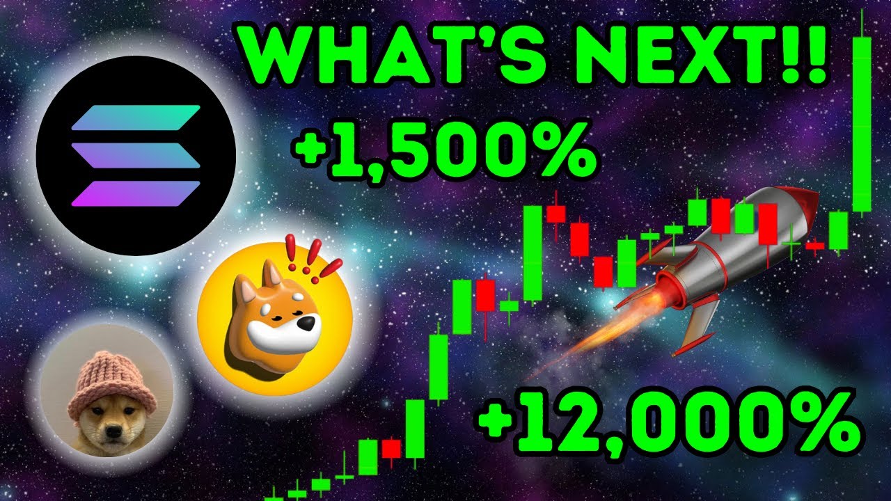 Bonk's Billion-Dollar Surge: Solana's Meme Coin Magic Unveiled | Next ...