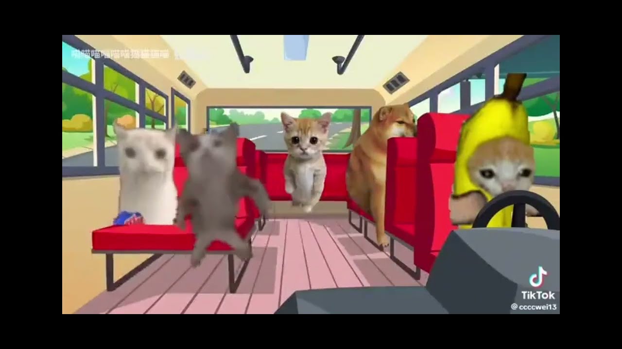 happy happy happy cat - YouTube