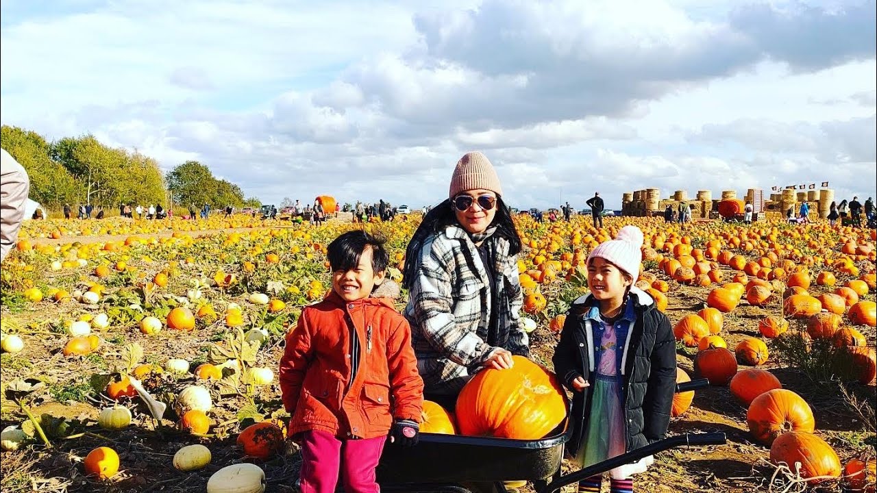 The Secret Farm || Pumpkin Patch ‘22 - YouTube