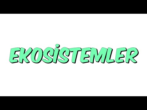 EKOSİSTEMLER | 7. Sınıf