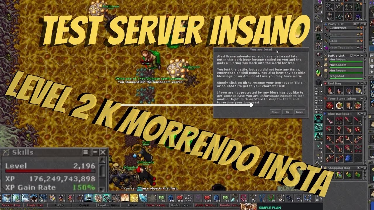 JÁ MATARAM O BOSS NOVO NO TEST SERVER // HUNTS INSANAS E LEVEL 2K ...