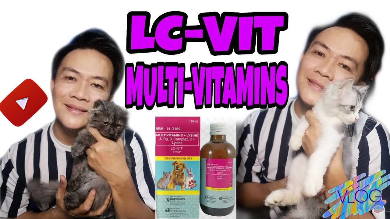 LC-VIT syrup for CAT and DOG - YouTube