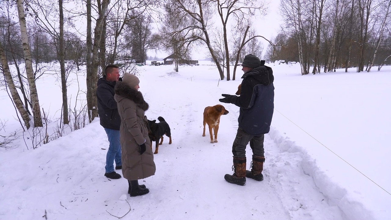 Novārdzinātie lopi Tabores pagastā turēti -27 grādu aukstumā - YouTube