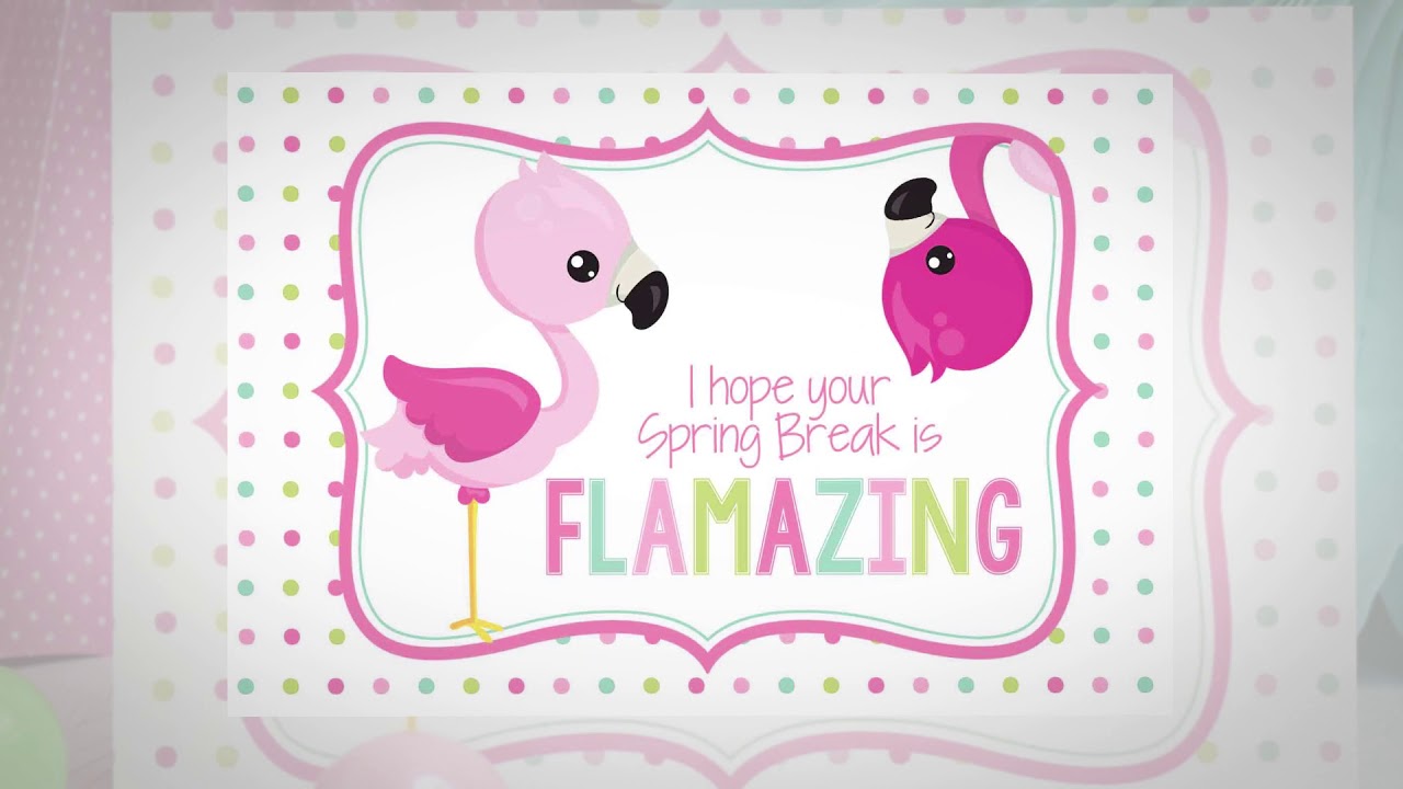 Flamingo Teacher Spring Break Postcards - YouTube