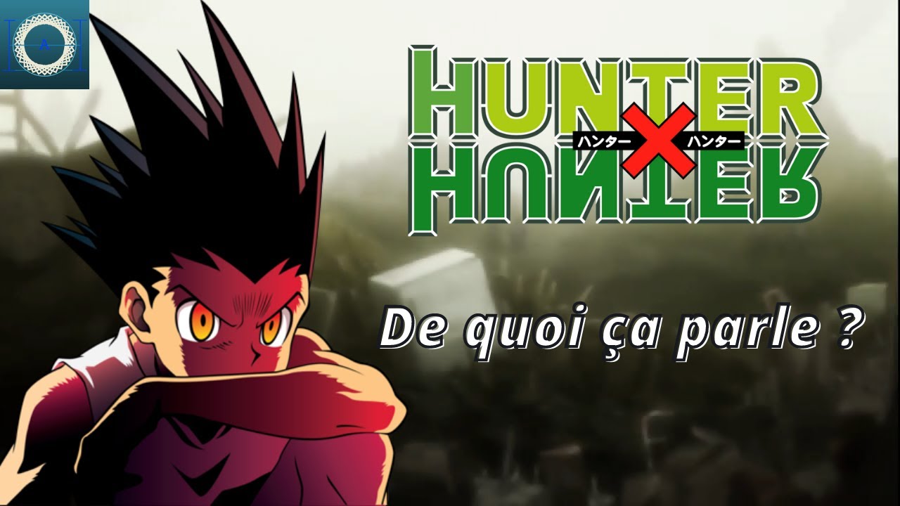THÈMES ABORDÉS #5 : HUNTER X HUNTER PARTIE 1 #hunterxhunter #theme ...
