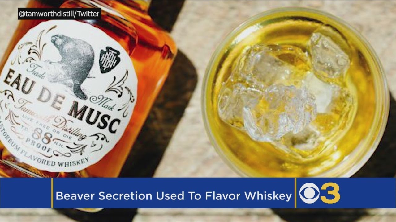 New Bourbon 'Eau De Musc' Flavored By Beaver Secretion - YouTube