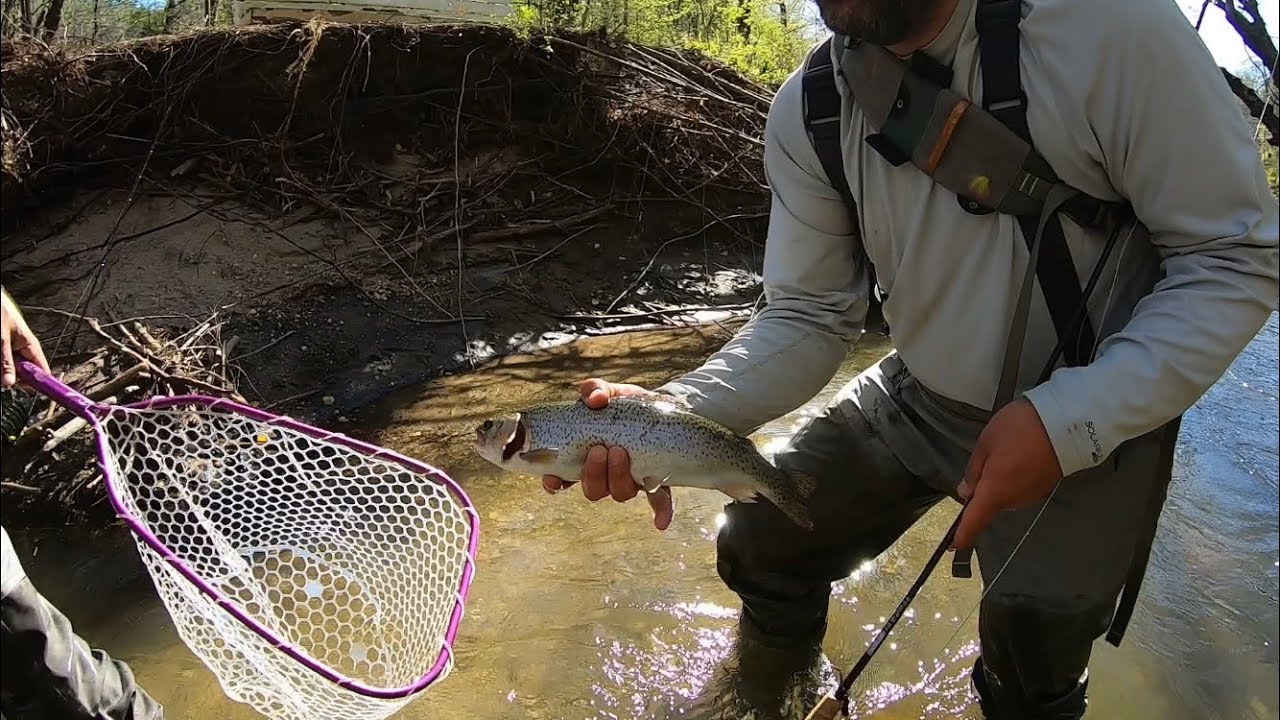 Fly Fishing in the North Georgia Mountains.(Big Trout caught!) - YouTube