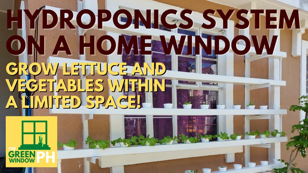 Hydroponics System on a Home Window Using Deep Flow Technique (DFT ...