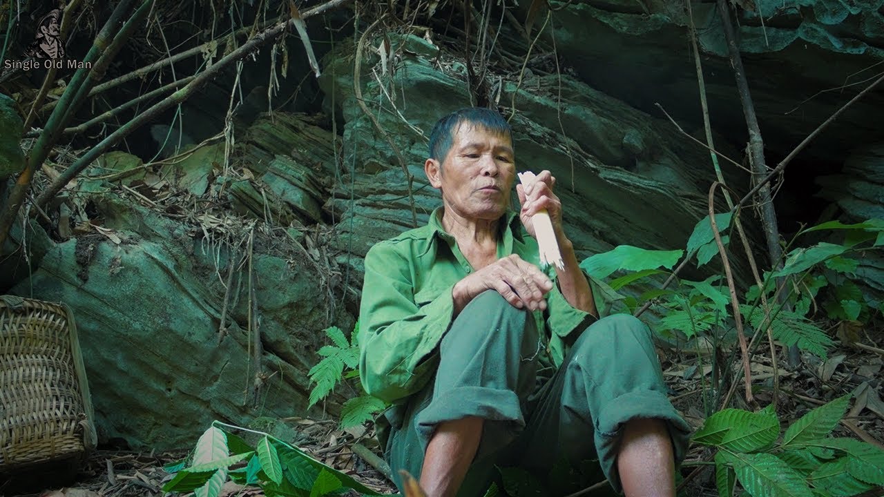 Living the Simple Life: A Single Old Man's Quest for Ferns and ...