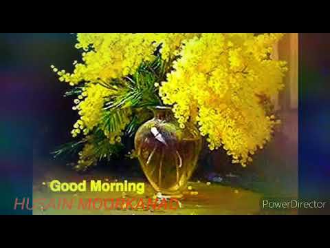 GOOD MORNING 🌹🌴