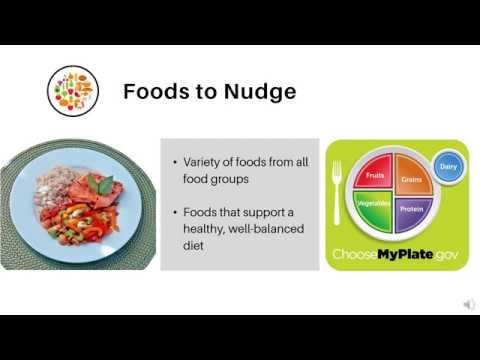 Nutrition Nudges Training Presentation - YouTube