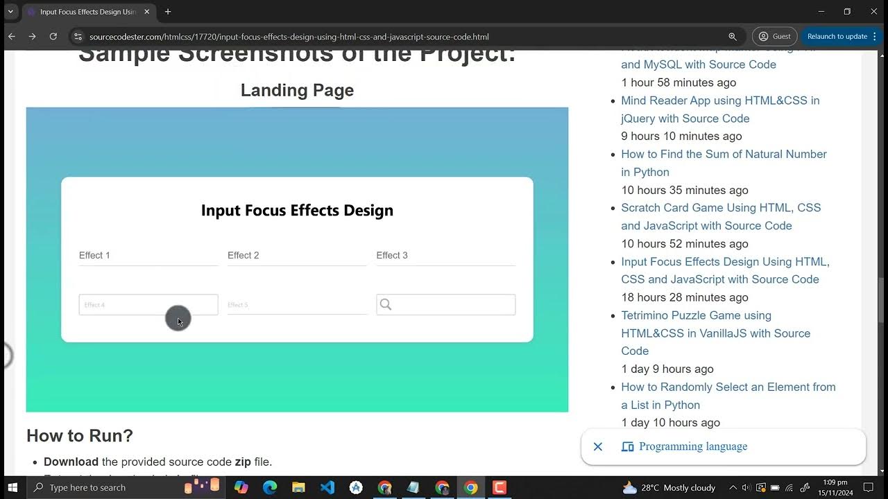 Input Focus Effects Design Using HTML, CSS and JavaScript with Source Code - YouTube