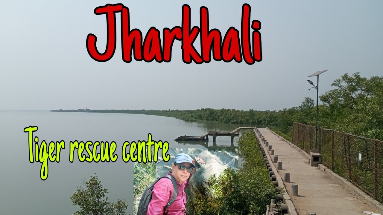 Jharkhali Tiger rescue centre || Jharkhali Sundarban - YouTube