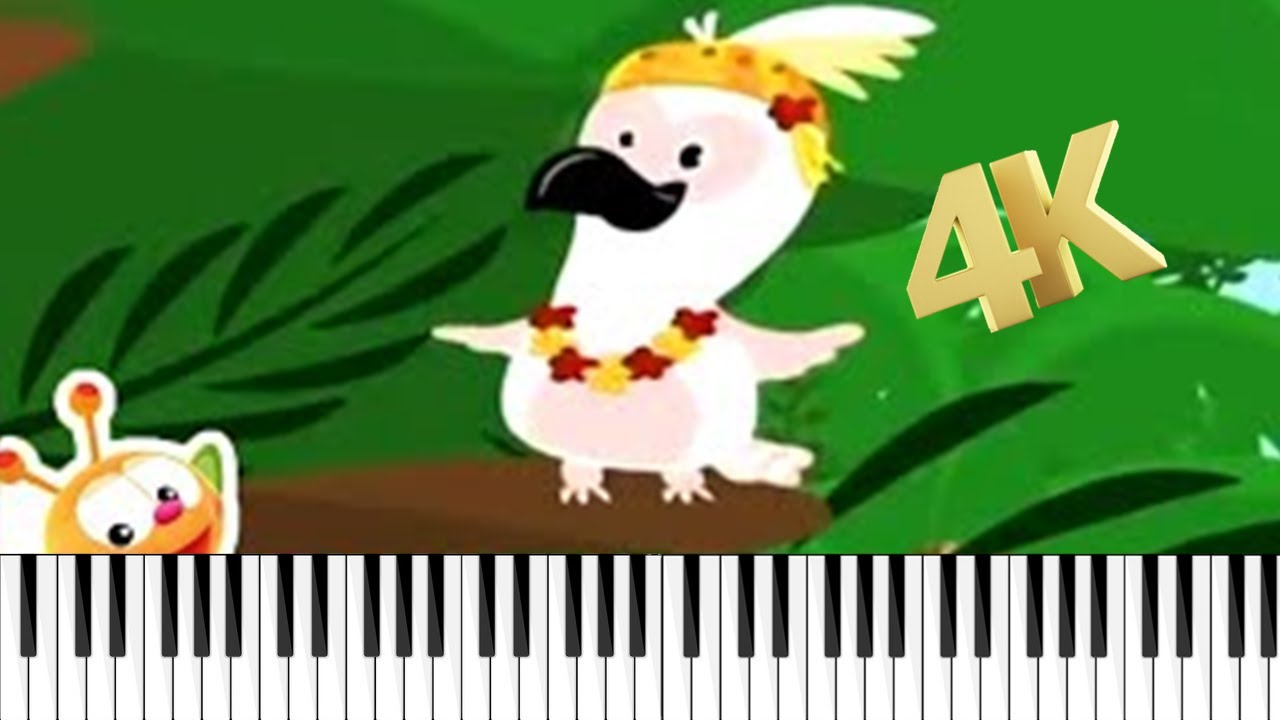 BabyTV - Cockatoo 4K Sheet Music - YouTube