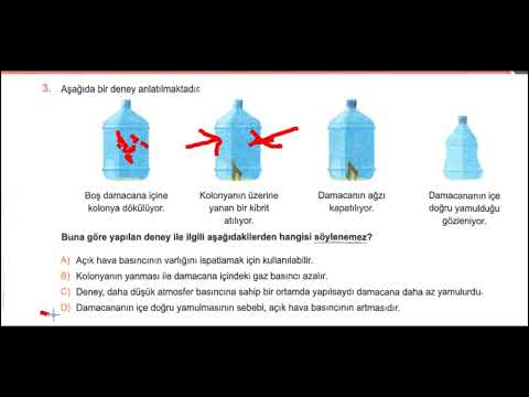 2024-2025 8. Sınıf LGS Deneme Sınavı 12, Zeka Küpü 3, Fen Bilimleri
