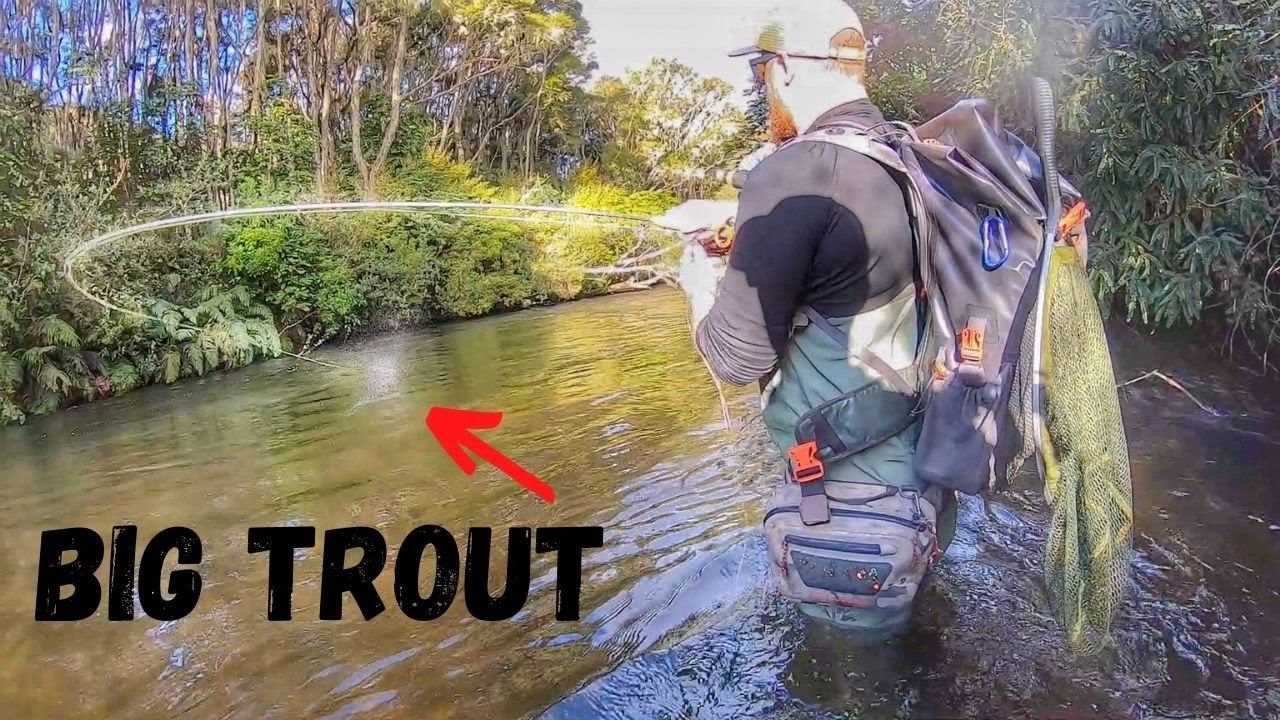 Fat Rainbow Trout [New Zealand Fishing] - YouTube