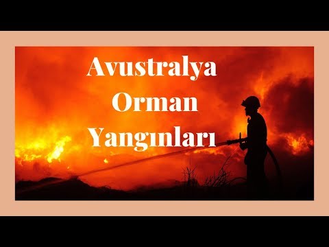 AVUSTRALYA Orman YANGINI | Neden Söndürülemedi