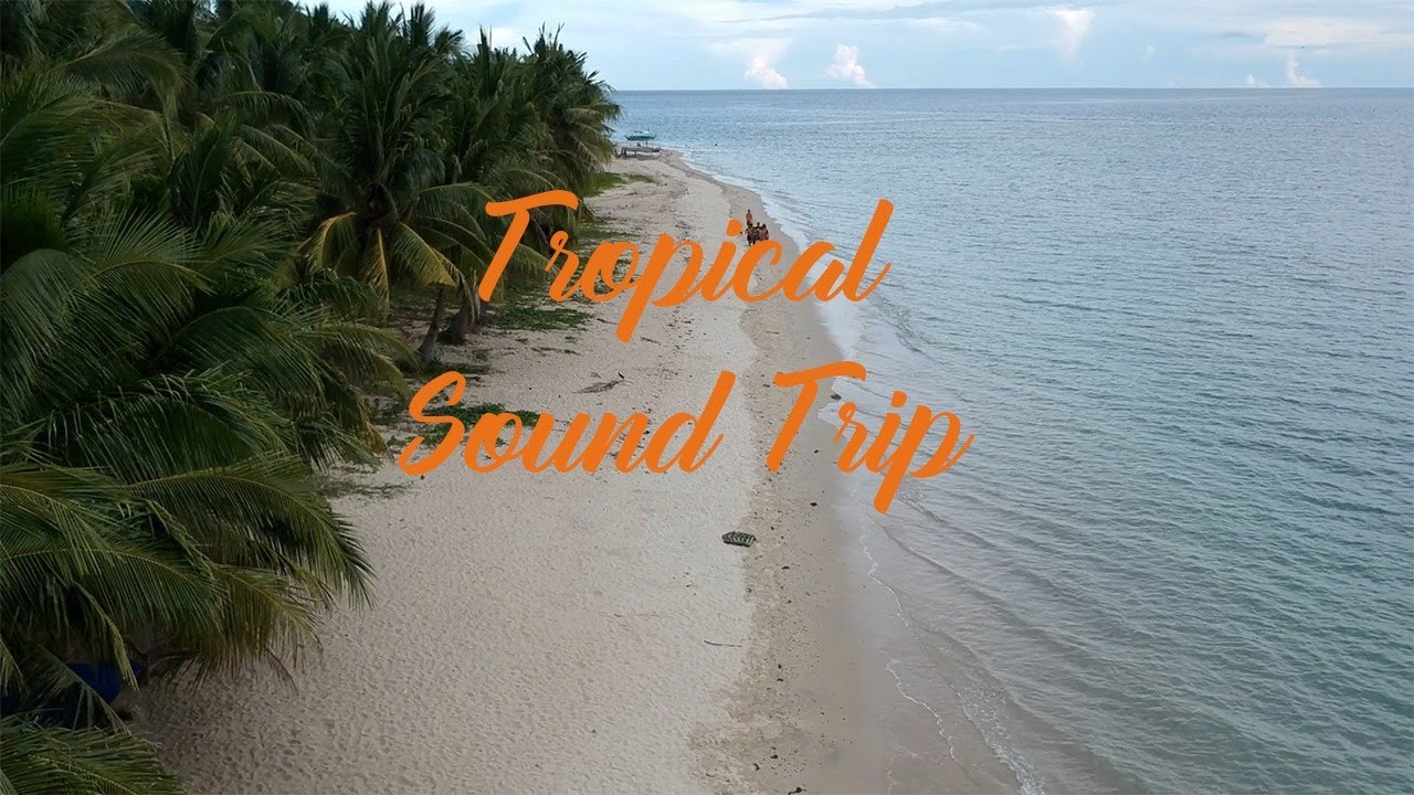 Tropical Sound Trip - YouTube